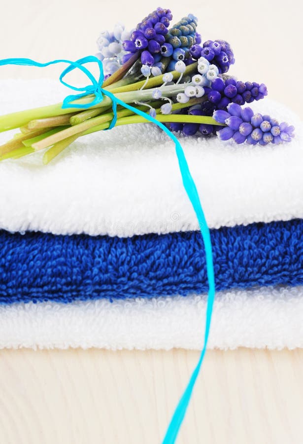 Spring SPA Picture. Image: 19144781