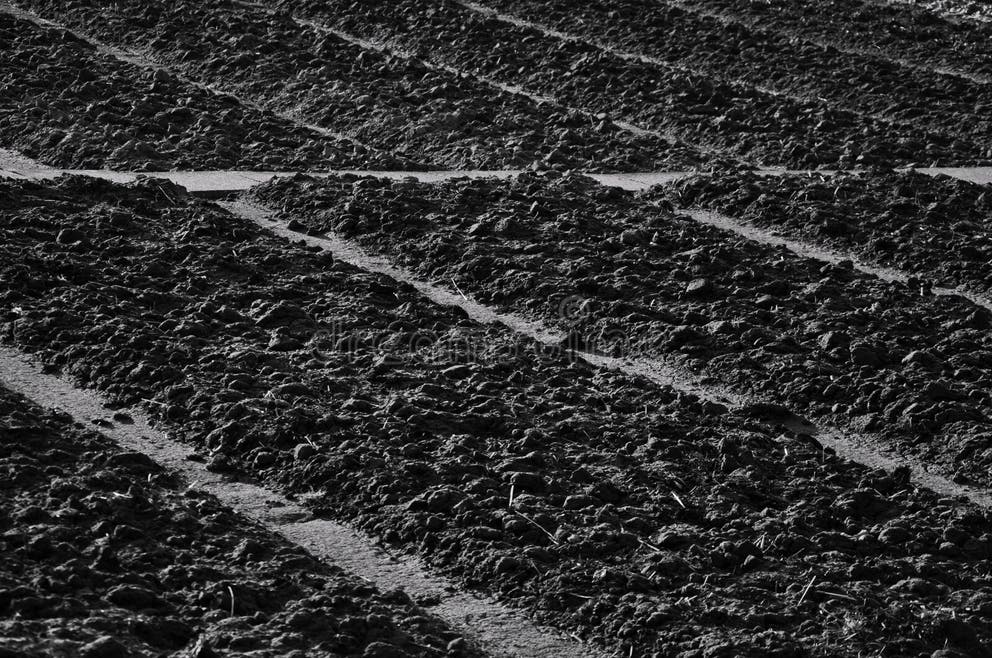 Spring spaded garden stock photo. Image of beauty, clay - 53600256