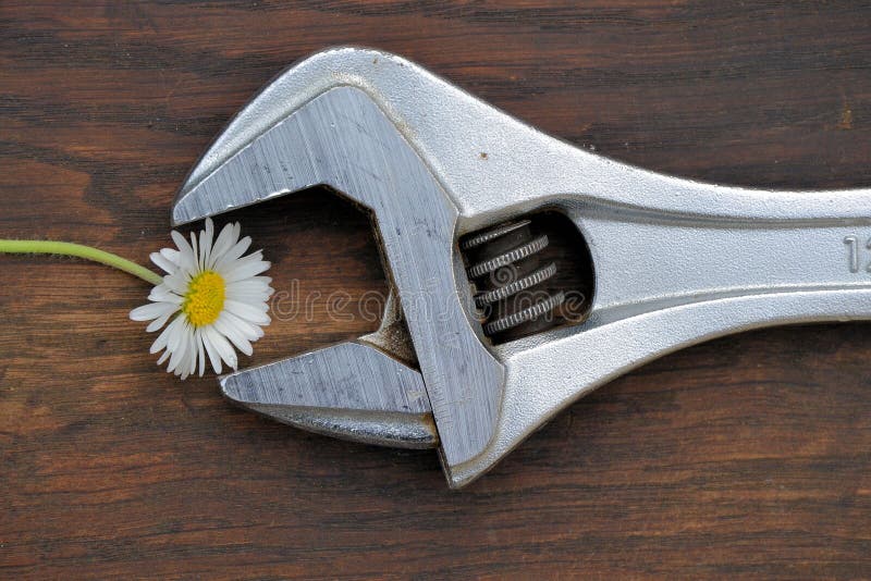 Spring stock image. Image of home, beautiful, design - 39615995