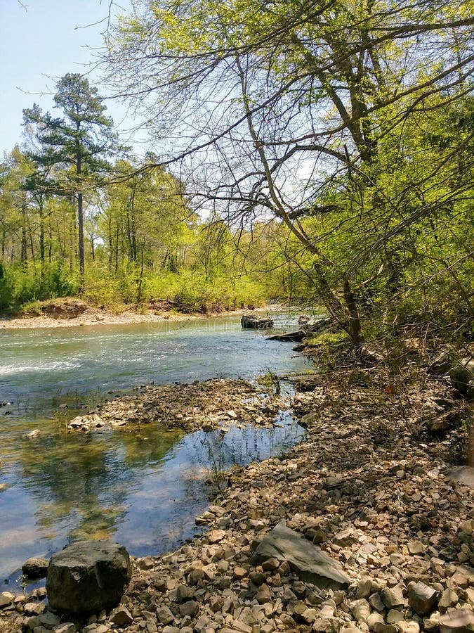 Spring stock photo. Image of sunny, spring, river, arkansas - 115177478