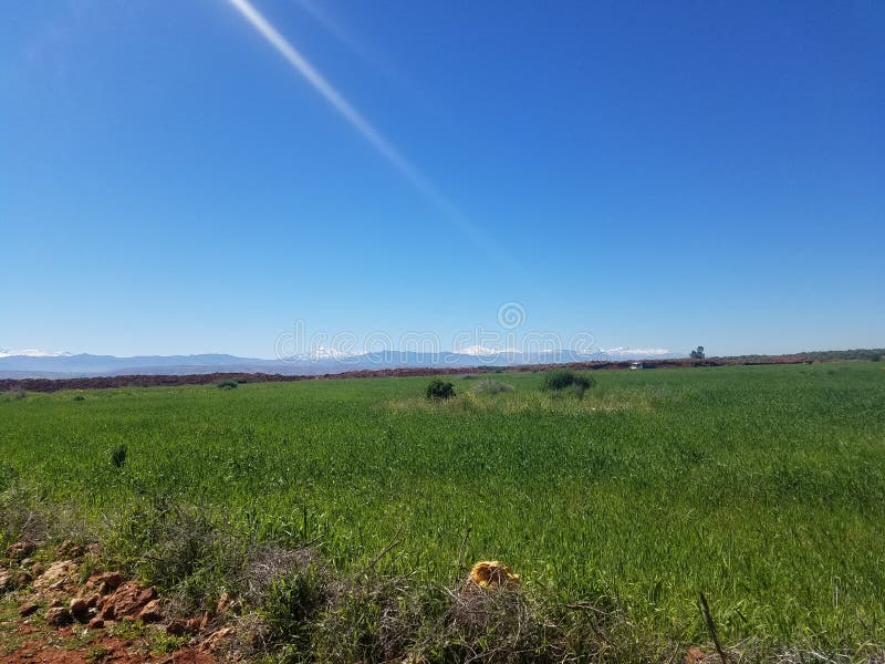 Spring stock photo. Image of grass, spring, mountainshighland - 125244478