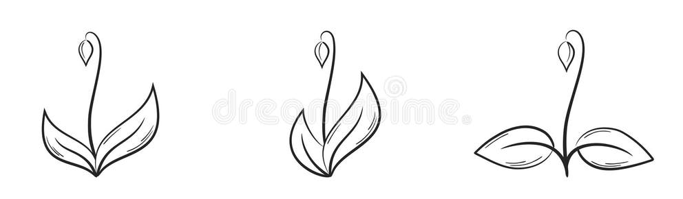Spring Sprout with Bud Line Illustrations. Nature and Spring Design ...