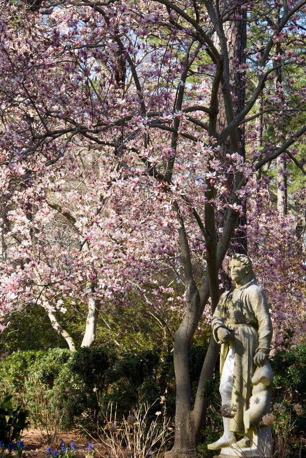 Spring Statues stock image. Image of tree, magnolia, spring - 27651077
