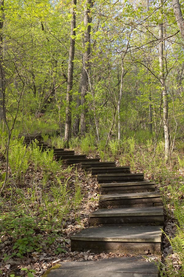 26,095 Spring Step Lata Stock Photos - Free & Royalty-Free Stock Photos ...