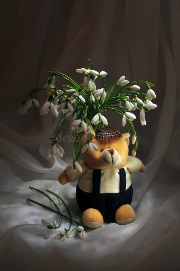 Spring still life stock image. Image of still, snowdrop - 29529189