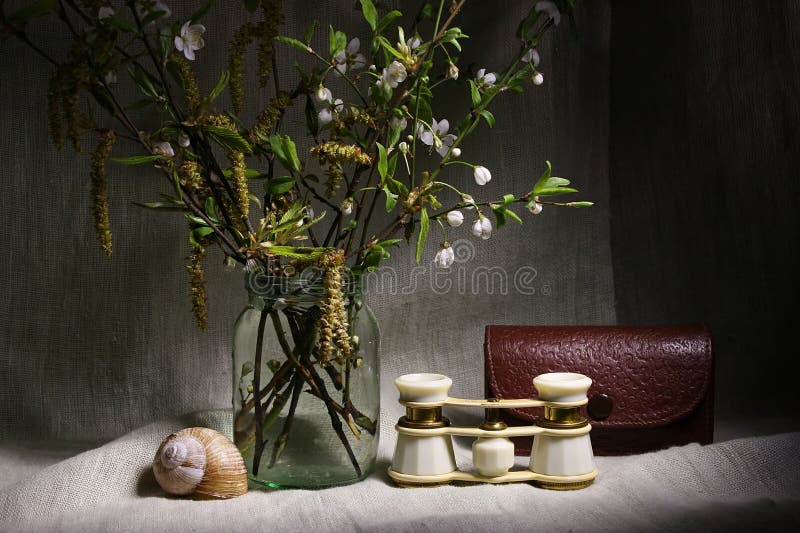 Spring Still Life with Blossoming Branches and Binoculars Stock Photo ...