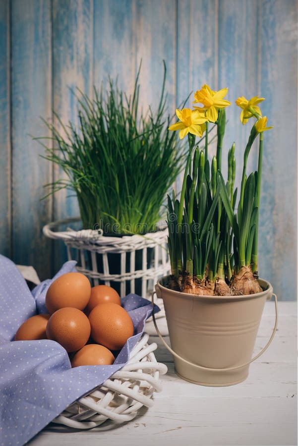 Spring Still Life with Eggs and Narcissus Stock Photo - Image of gift ...