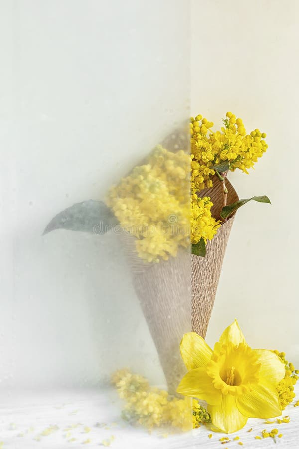 Spring Still Life with Magonia Flowers Stock Photo - Image of daffodils ...