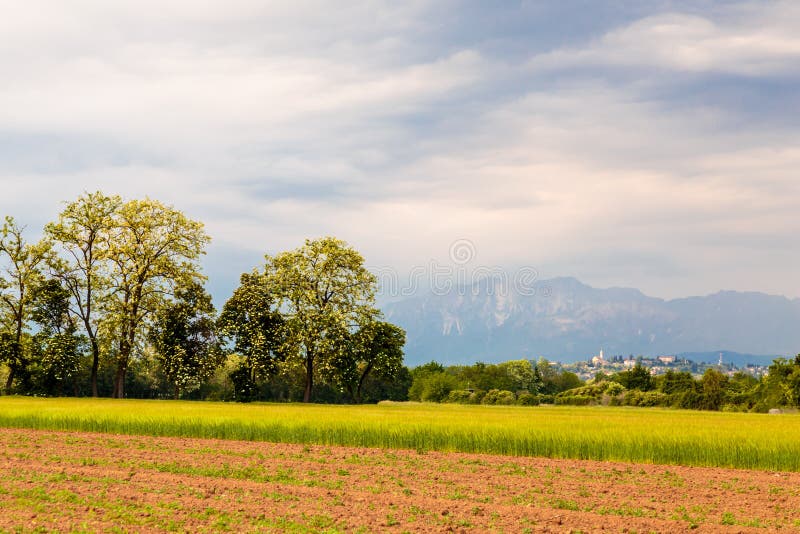 Spring Storm Over the Fields Stock Photo - Image of giulia, calmness ...