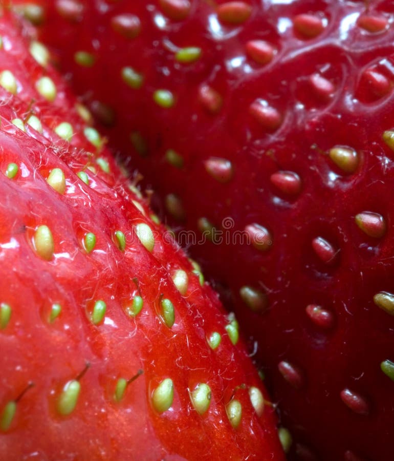 Strawberry stock image. Image of berries, food, dots, strawberries ...