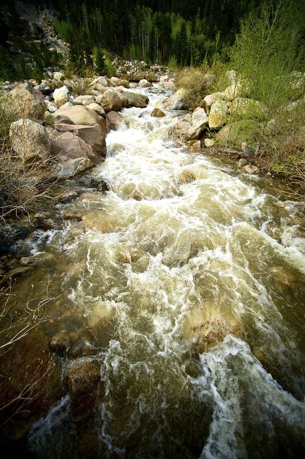 Spring Stream stock image. Image of cold, flow, nature - 24709093