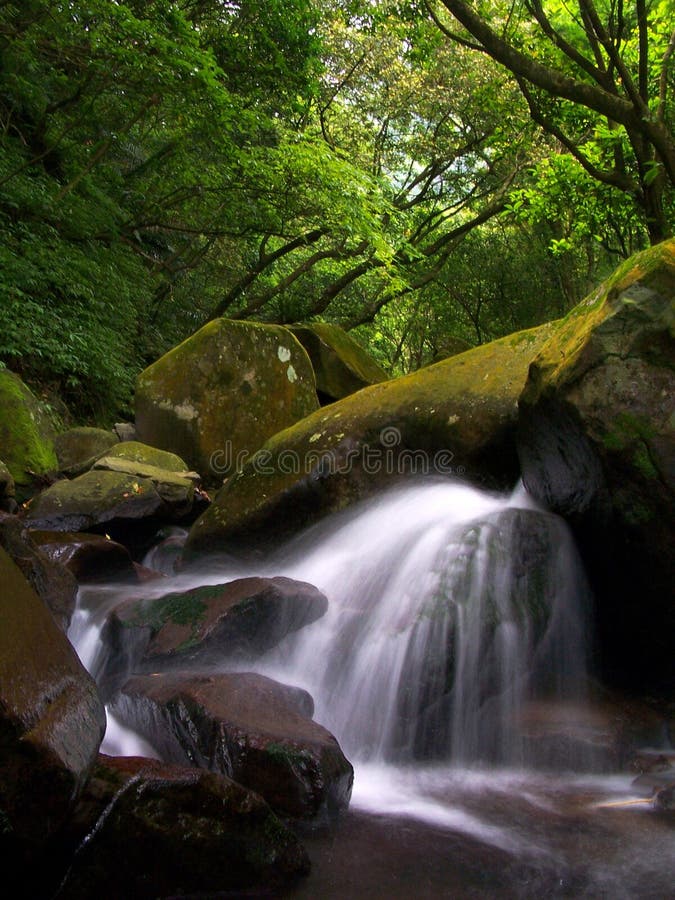 Stream stock photo. Image of cascade, waterfall, landscape - 4307490