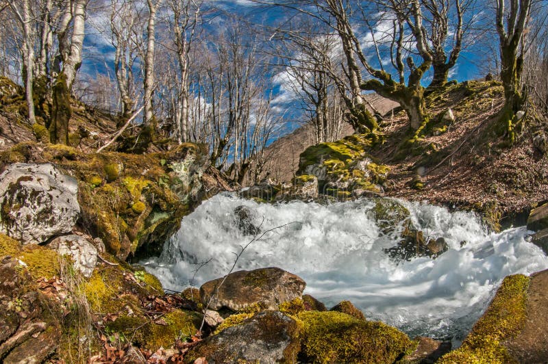 Spring Stream in Early Spring in the Balkans Stock Image - Image of ...