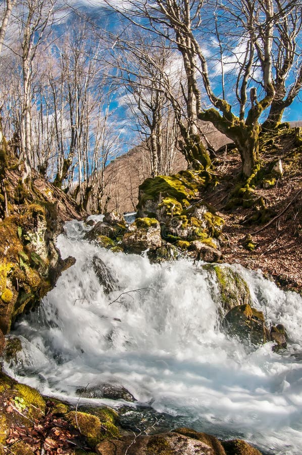 Spring Stream in Early Spring in the Balkans Stock Photo - Image of ...