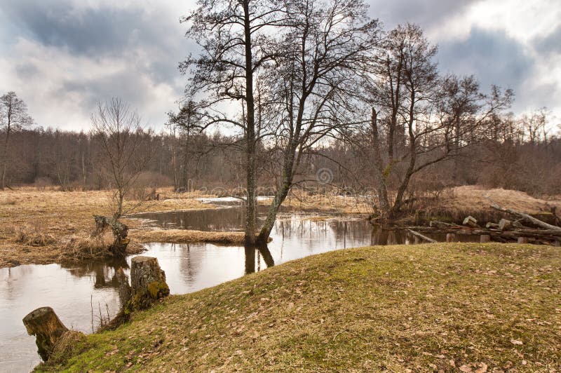 Spring Stream. Early Spring on Small River. Cloudy Spring Stock Image ...
