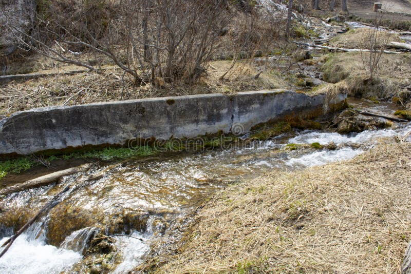 Spring Stream Flowing by Old Cement Foundation Stock Image - Image of ...