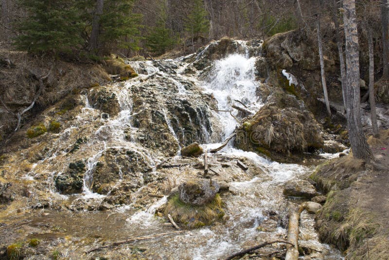 Spring Stream Flowing through Woods - Waterfall Flow Stock Photo ...