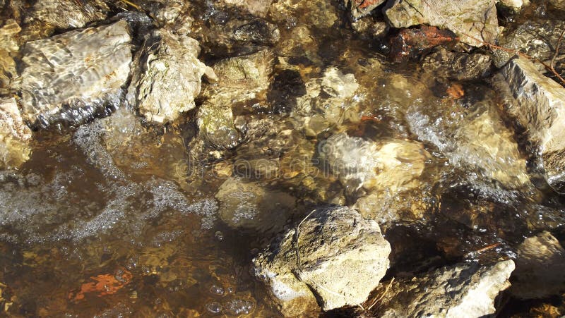 Spring Creek. stock image. Image of environment, white - 114958893