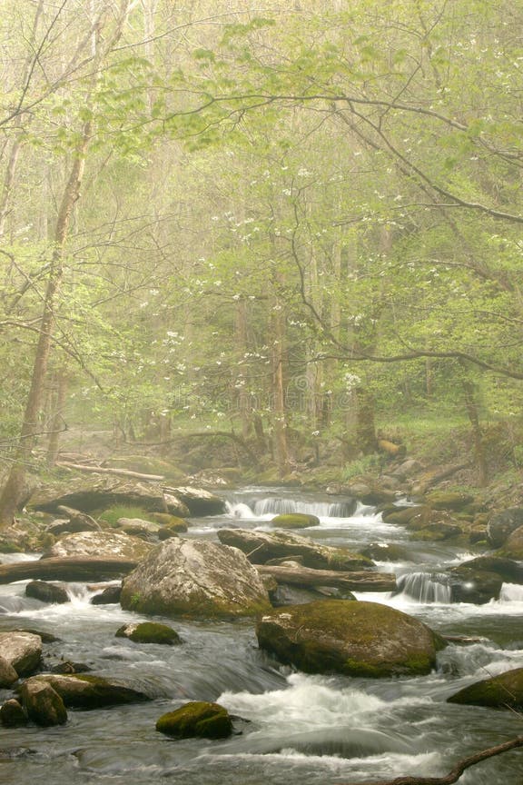 Spring Stream in Fog stock photo. Image of weather, stream - 1714422