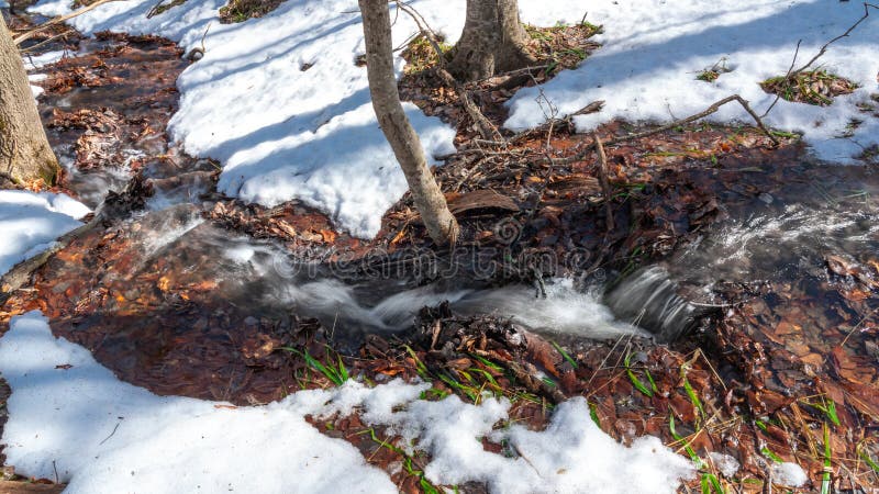 Spring Stream in the Forest. Snow Melting Stock Photo - Image of patch ...