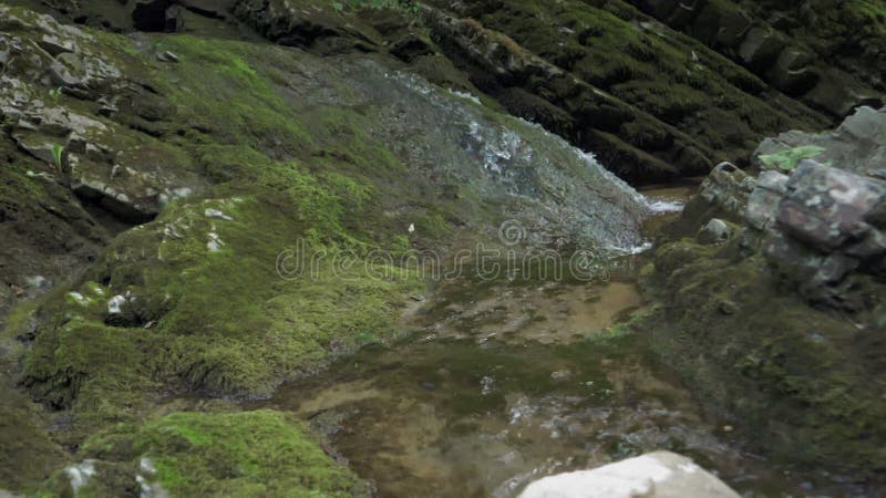 Spring Streams with Clean, Clear, Cold Water Merrily Run Down the ...