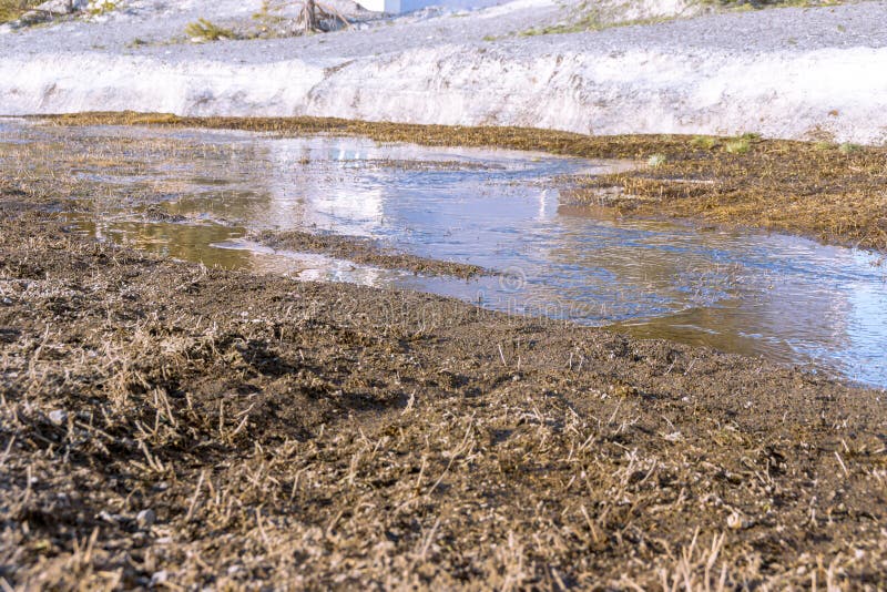 Spring Streams from Snow Melting in Spring Flow Eroding Soft Soils and ...