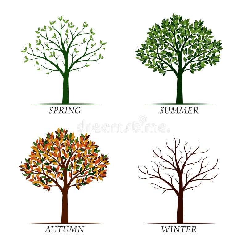 Spring, Summer, Autumn, Winter Trees. Vector Illustration. Stock Vector ...