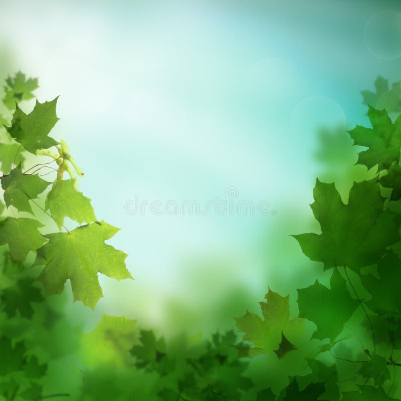 Summer or Spring Orange Background Stock Photo - Image of crafts ...