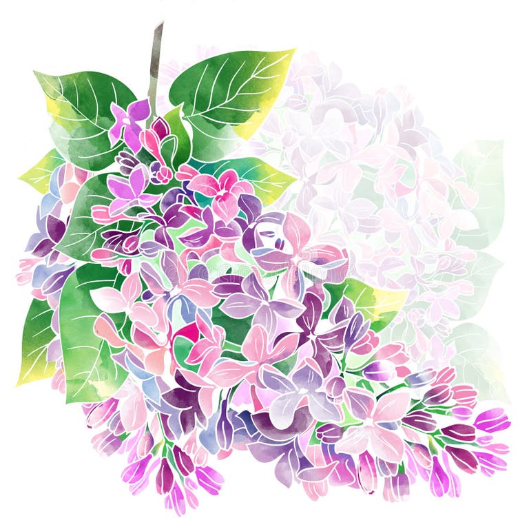 Outline Lilac Stock Illustrations – 8,548 Outline Lilac Stock ...