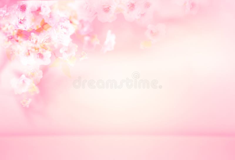 Spring Summer Blurred Light Pink Background with Shadow of the Flowers ...