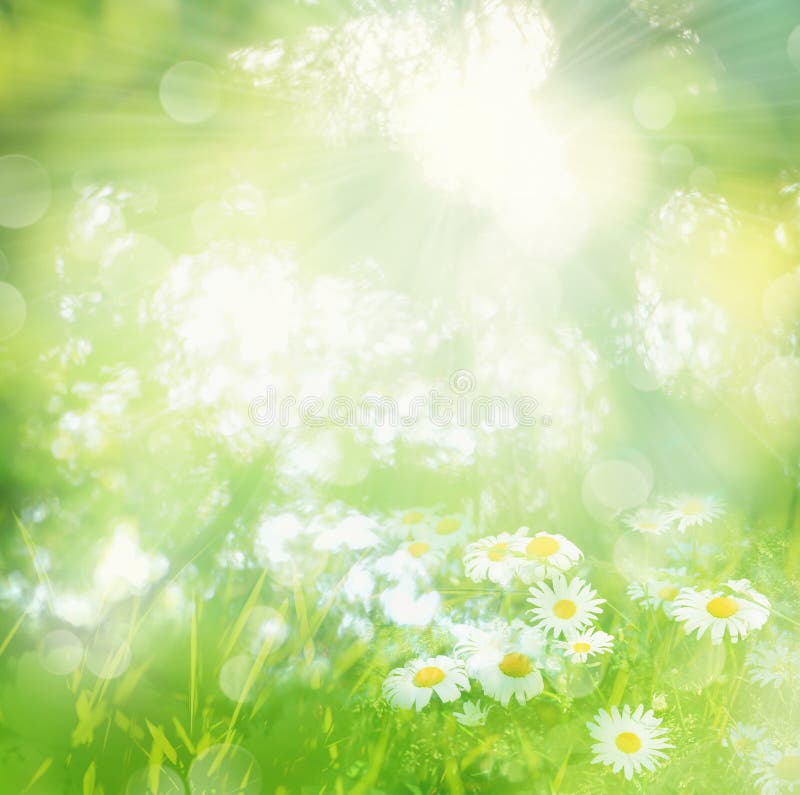 Spring or Summer Blurred Nature Background Stock Image - Image of lawn ... Spring or Summer Blurred Nature Background Stock Image - Image of lawn ...