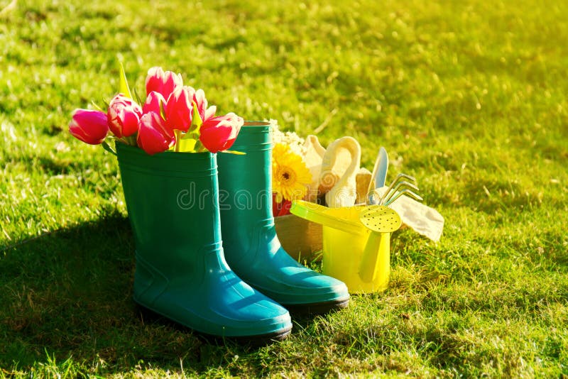 Spring or Summer Concept. Rubber Boots with Gardening Tools on G Stock ...