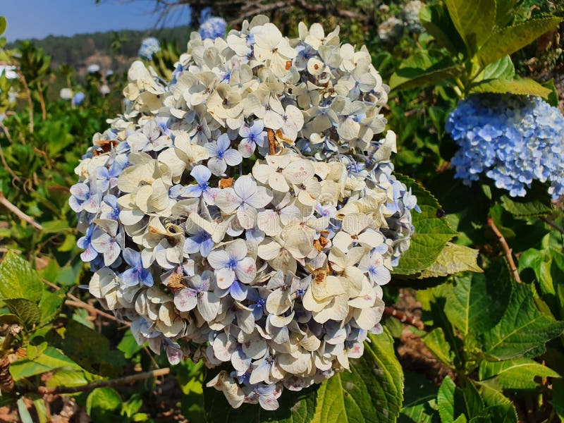 Spring, Summer, Fall, Winter. Stock Photo - Image of spring, natural ...