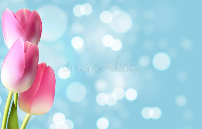 Spring and Summer Flower Natural Background. Vector Stock Vector ...