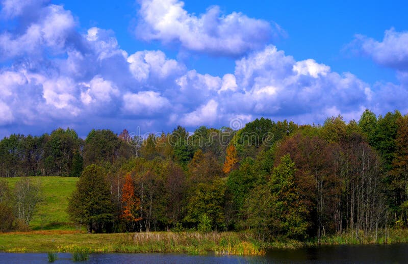 Spring Summer Forest Scenery Stock Photo - Image of activities ...