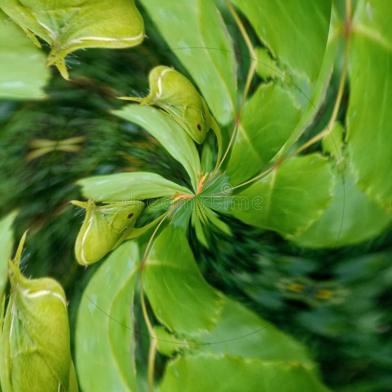 Spring Summer Green Abstract Background Blurred Shapes Stock Photo ...