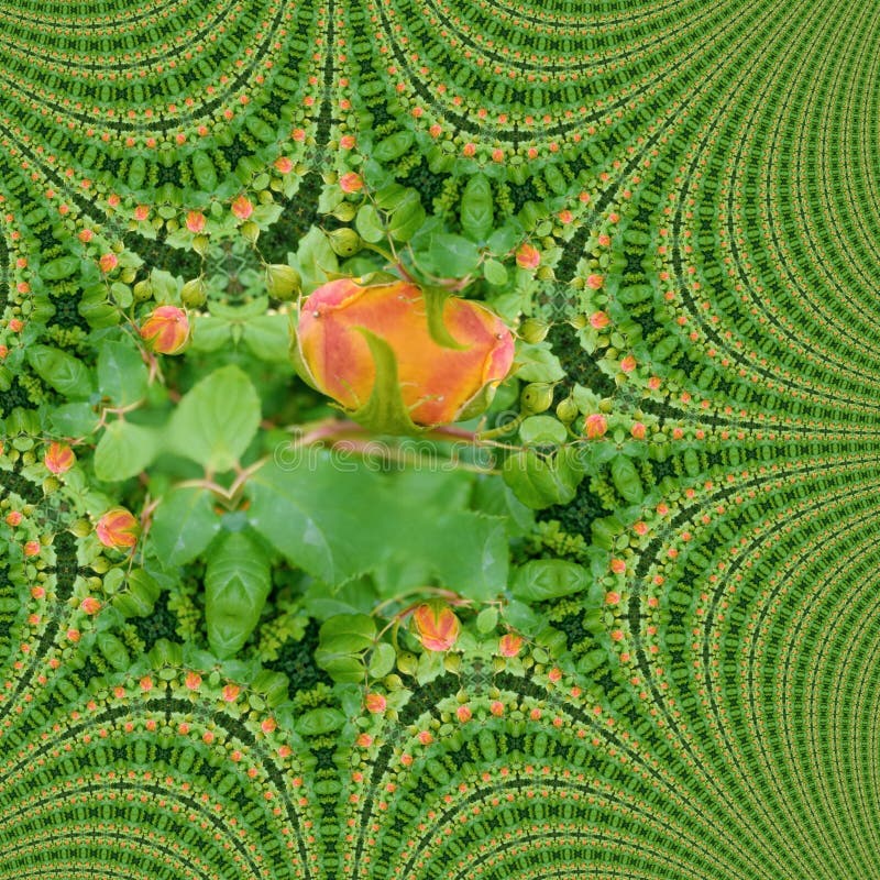 Spring Summer Green Abstract Background Blurred Shapes Stock Photo ...