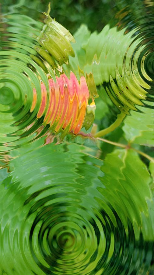 Spring Summer Green Abstract Background Blurred Shapes Stock Image ...