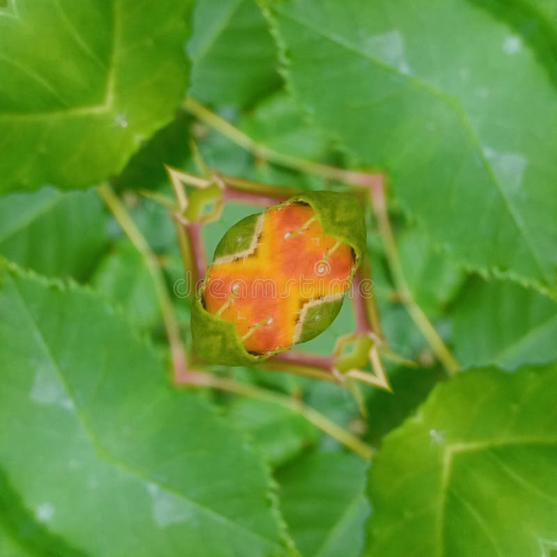 Spring Summer Green Abstract Background Blurred Shapes Stock Photo ...