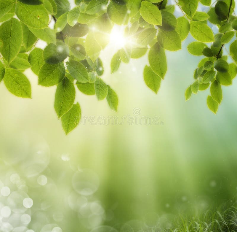 Spring or Summer Season Abstract Nature Background Stock Image - Image ...