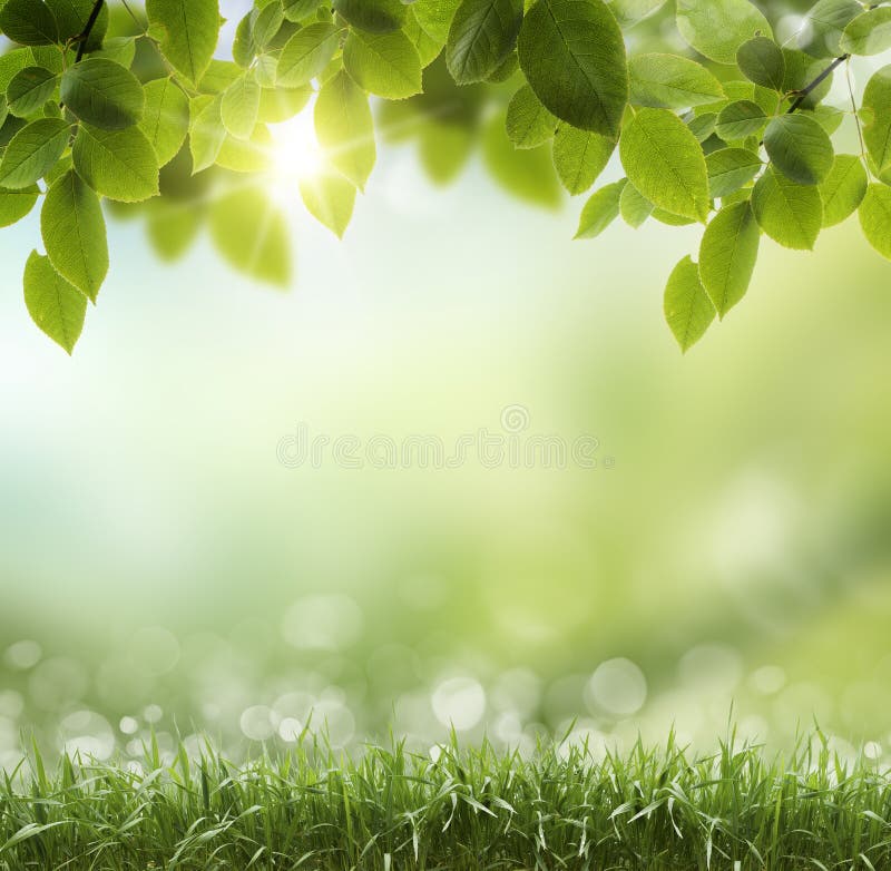 Spring or Summer Heat Abstract Stock Photo - Image of flora, color ...