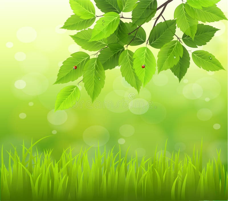 Spring or Summer Season Abstract Nature Background Stock Illustration ...