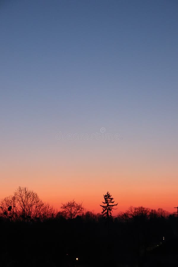 Spring Summer Sunset in the Trees Stock Photo - Image of trees, spring ...
