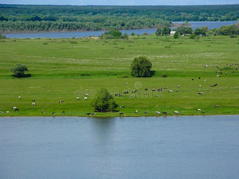 Spring Sun Magic River Bright Field Beautiful Sunny Blue Sky Stock ...