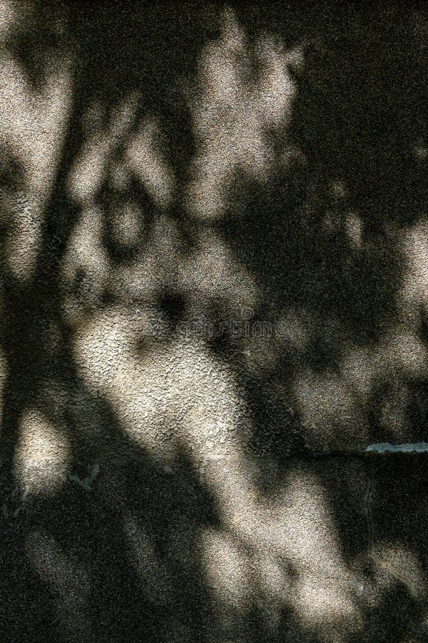 Spring Sunlight and Shadows on a Concrete Wall As a Background ...