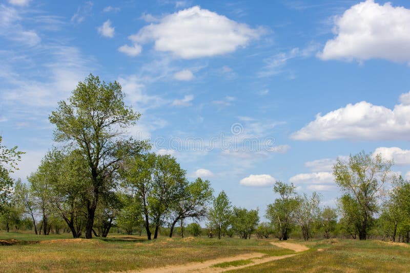 Spring sunny landscape stock photo. Image of blue, grass - 9453586