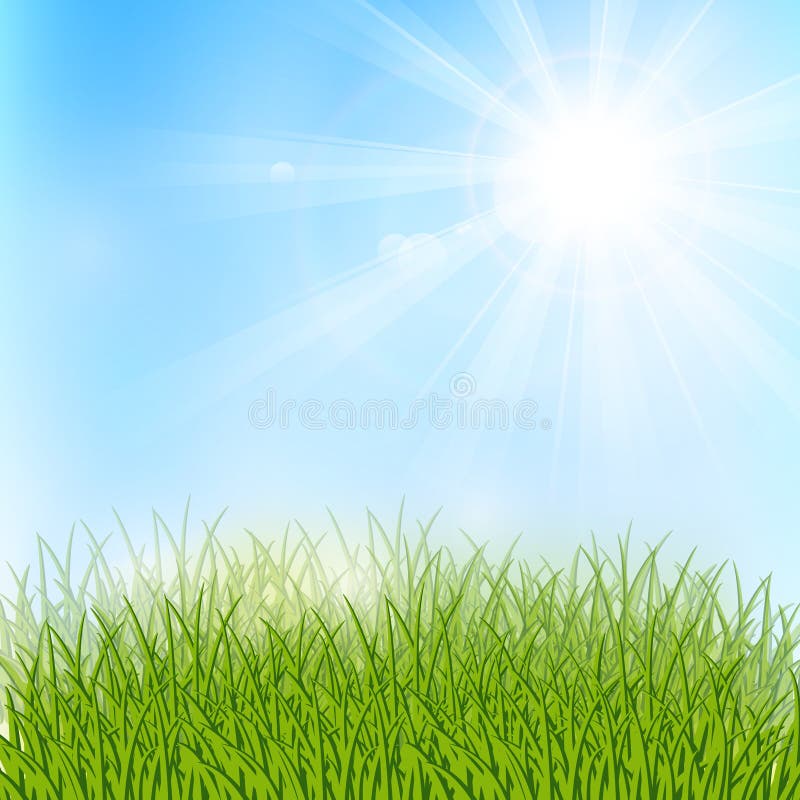 Sunny Meadow stock vector. Illustration of landscape, field - 6955505