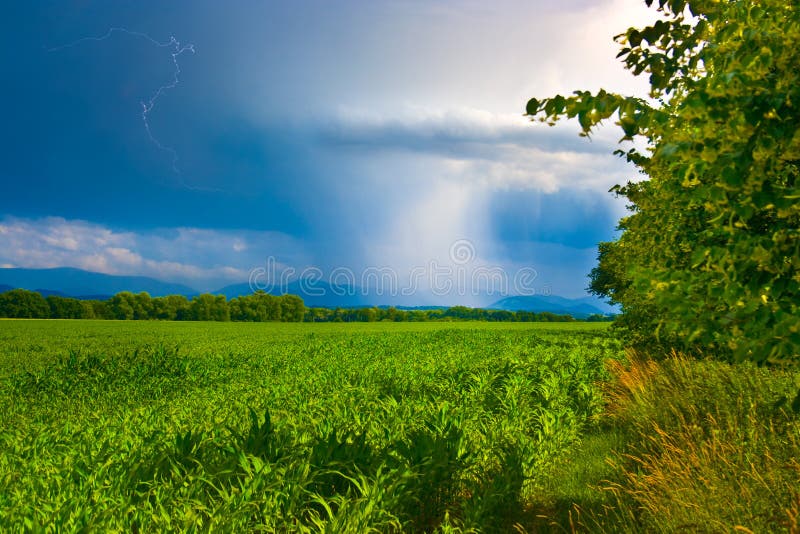 Spring storm stock image. Image of field, blue, agriculture - 5252667