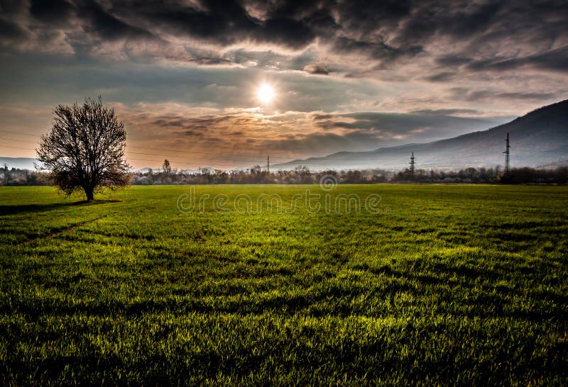 Spring sunrise stock photo. Image of wood, beautiful - 147631056