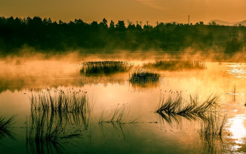 Spring Sunrise Stock Photos - Download 231,566 Royalty Free Photos